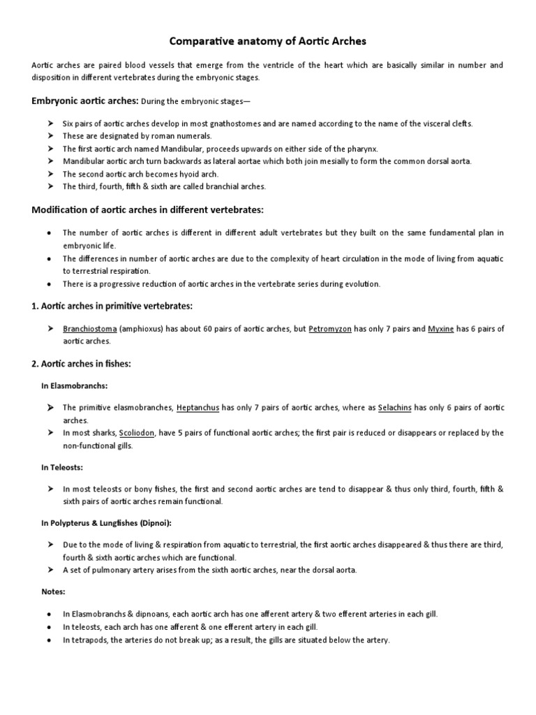 Comparative Anatomy of Aortic Arches | PDF | Aorta | Lung