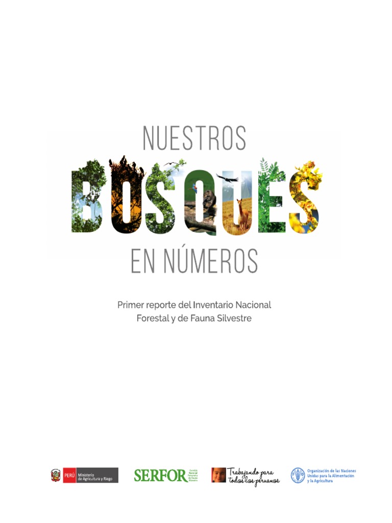 Nuestros Bosques en Numeros | PDF | Los bosques | Biodiversidad