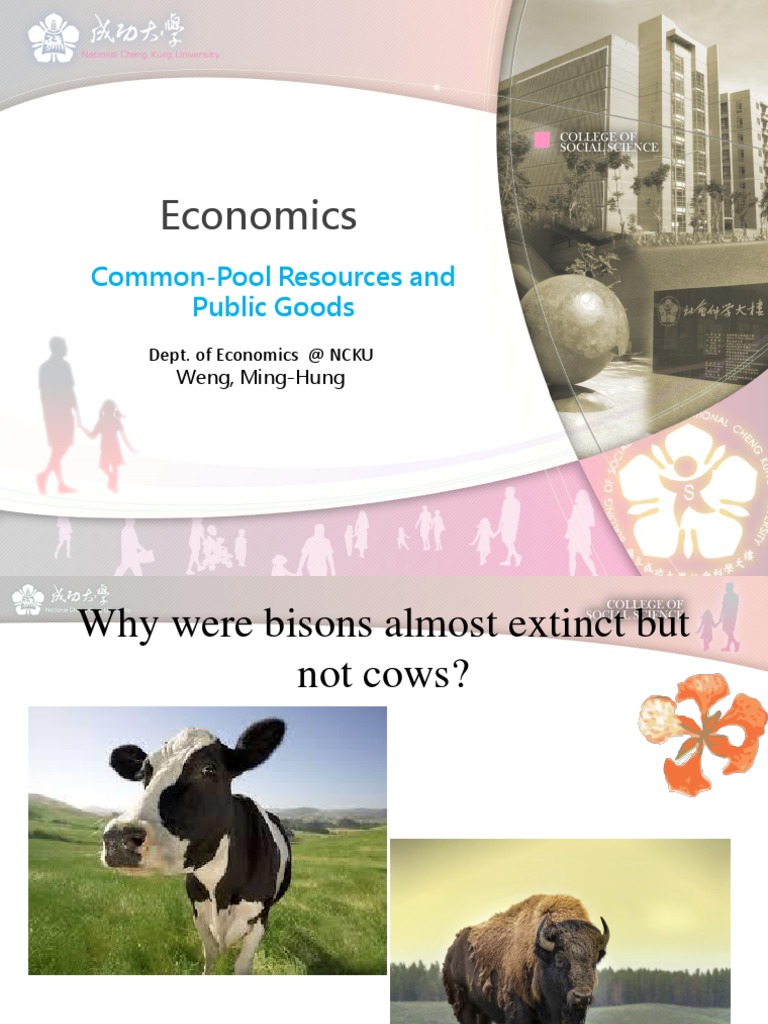 10. Common-Pool Resources and Public Goods.pptx | Public Good | Economies