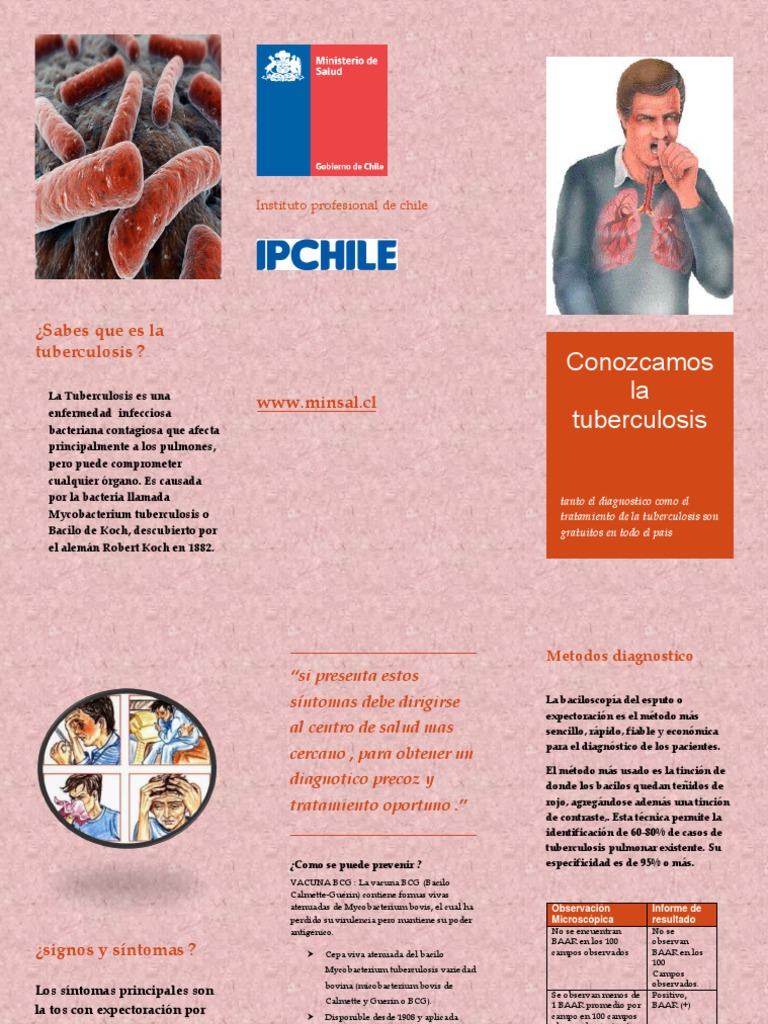 Triptico Tuberculosis | PDF | Tuberculosis | Ciencias de la Salud