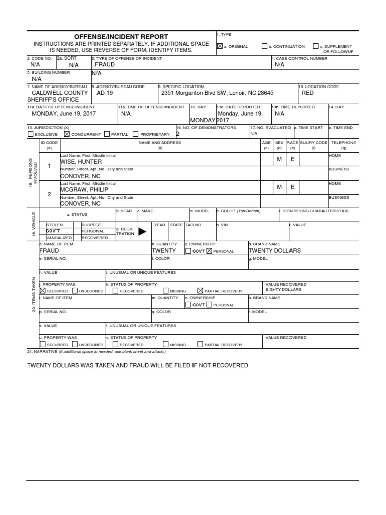 Blank Police Report Template | PDF | Law Enforcement | Crime & Violence