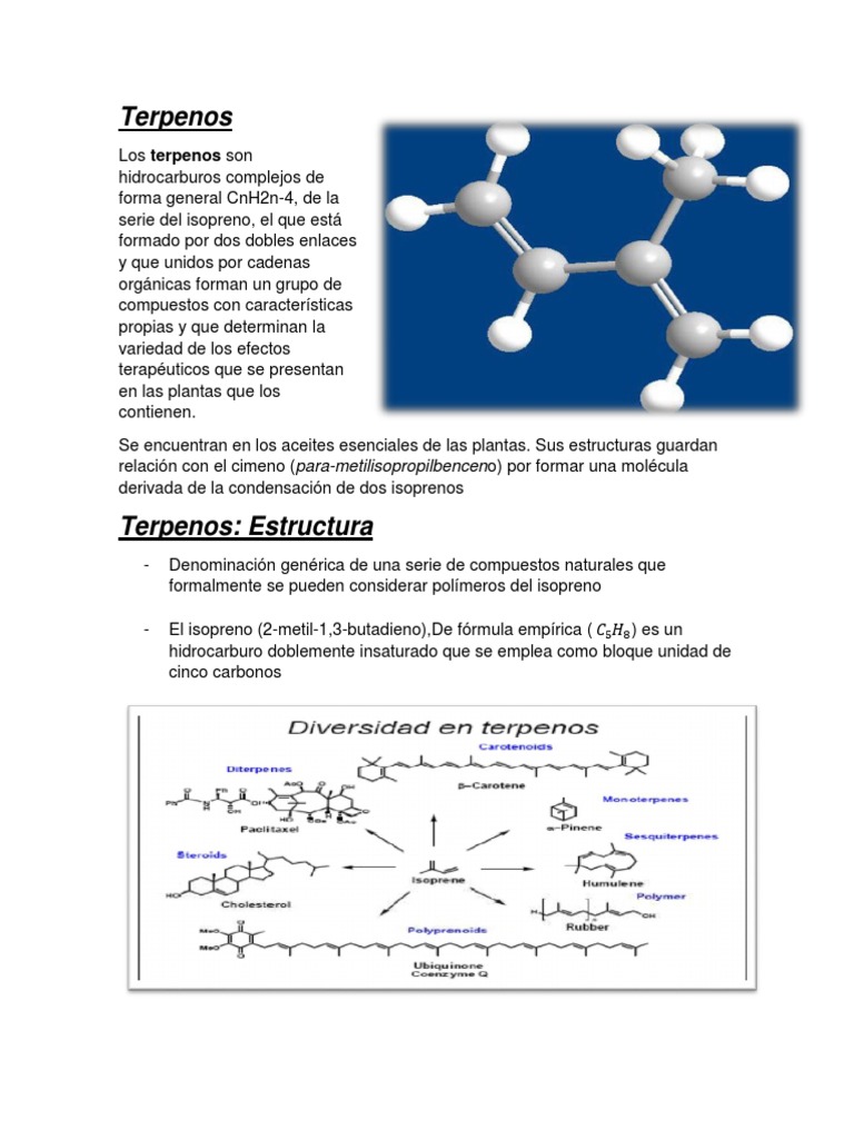 Terpenos y Carotenos, Marcos Lazo | PDF | Carotenoide | Antioxidante