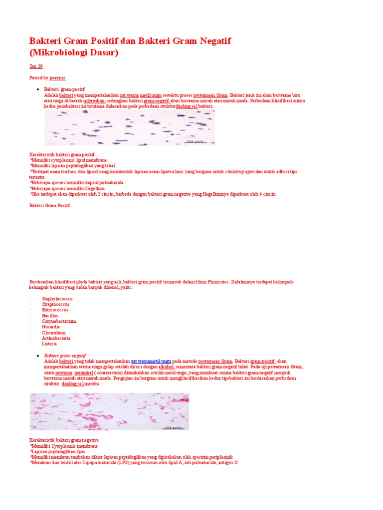 Bakteri Gram Positif Dan Bakteri Gram Negatif | PDF