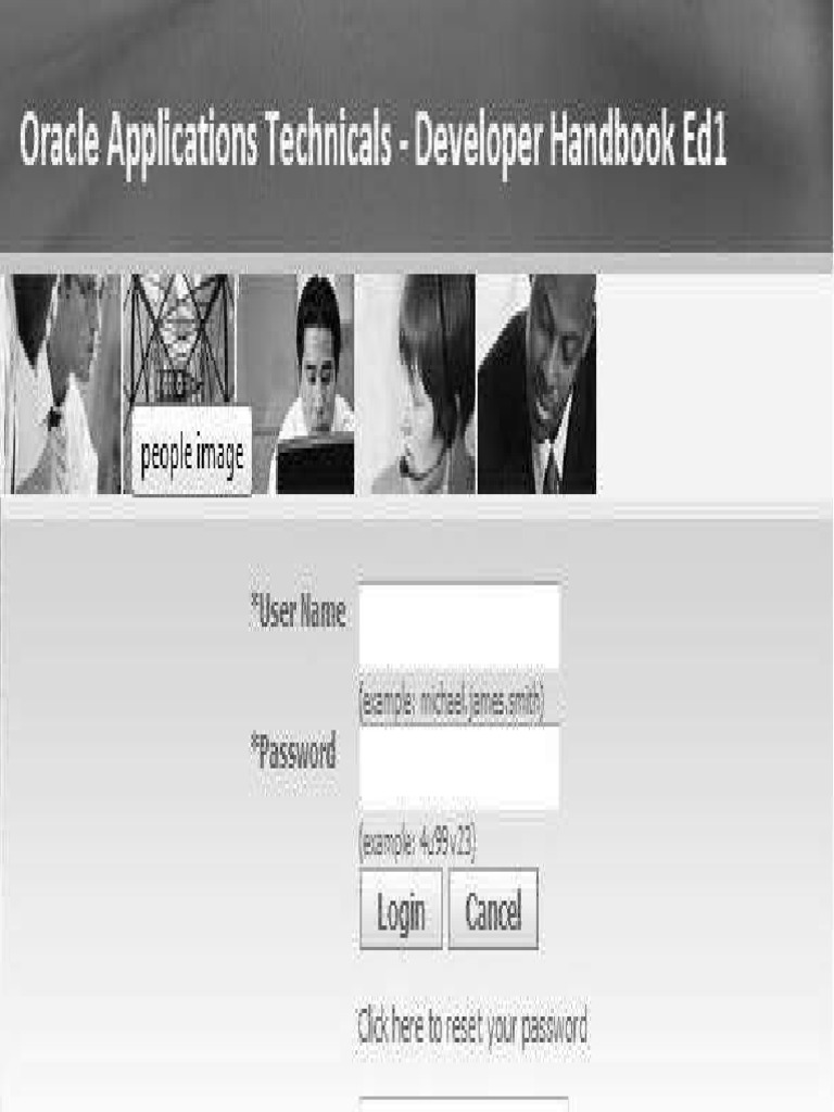 Oracle eBusiness Suite Developer Guide | PDF | Oracle Database | Databases
