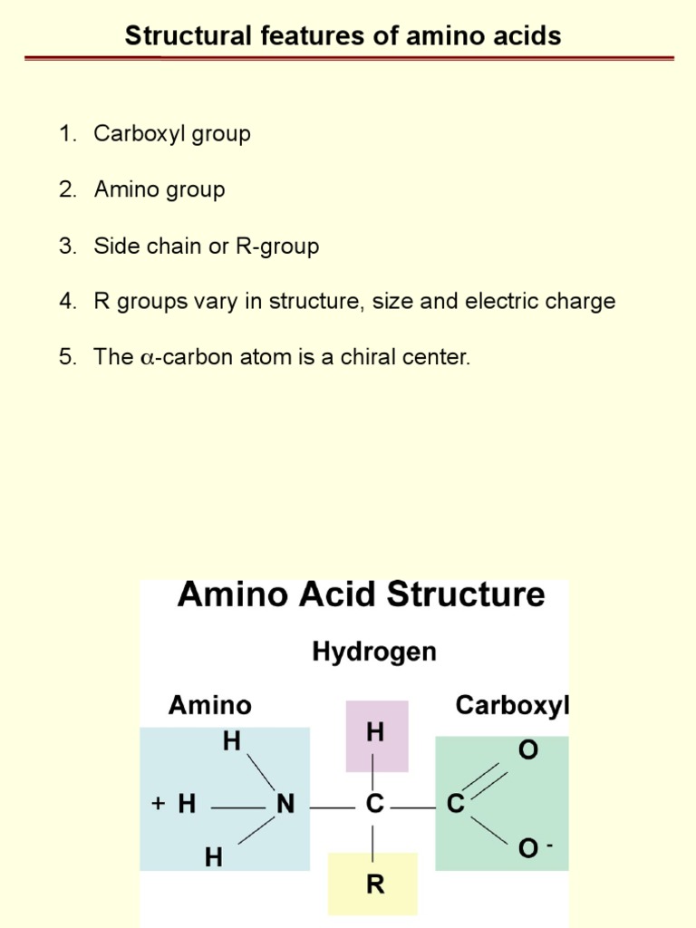 Structural Features of Amino Acids | PDF