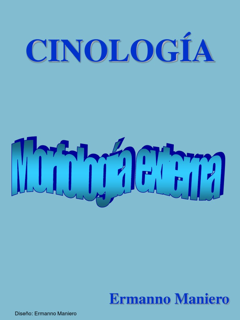 Morfol 2016 Emt Uns | PDF | Belleza | Cráneo