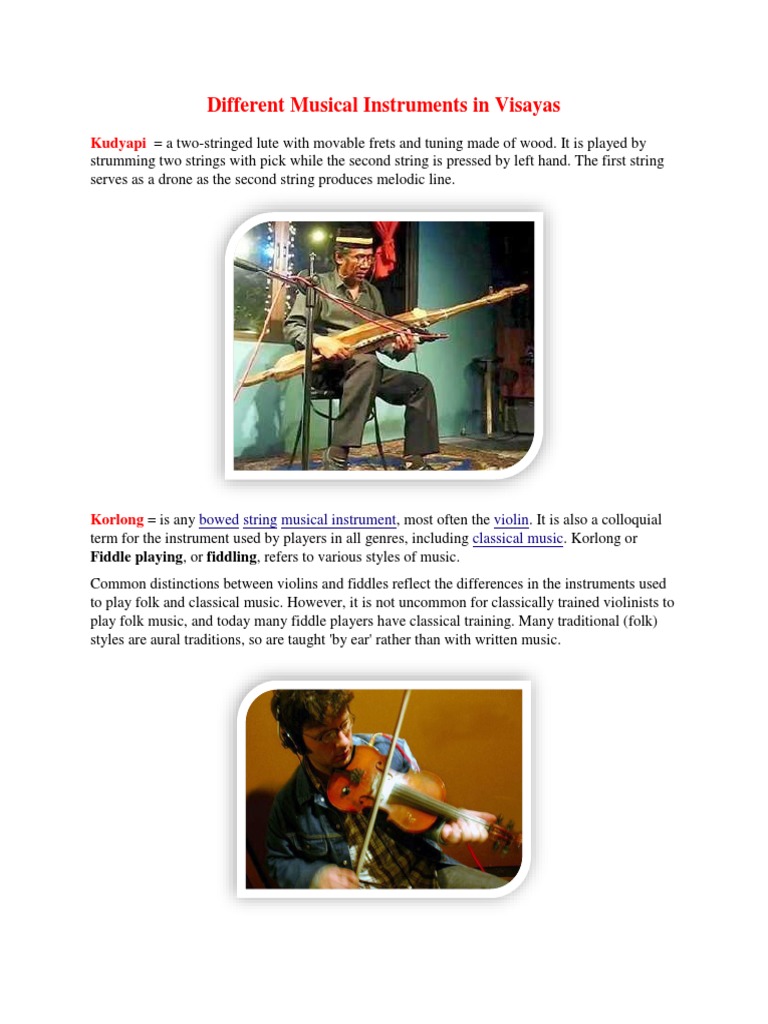 Musical Instruments | PDF | Violin | String Instruments