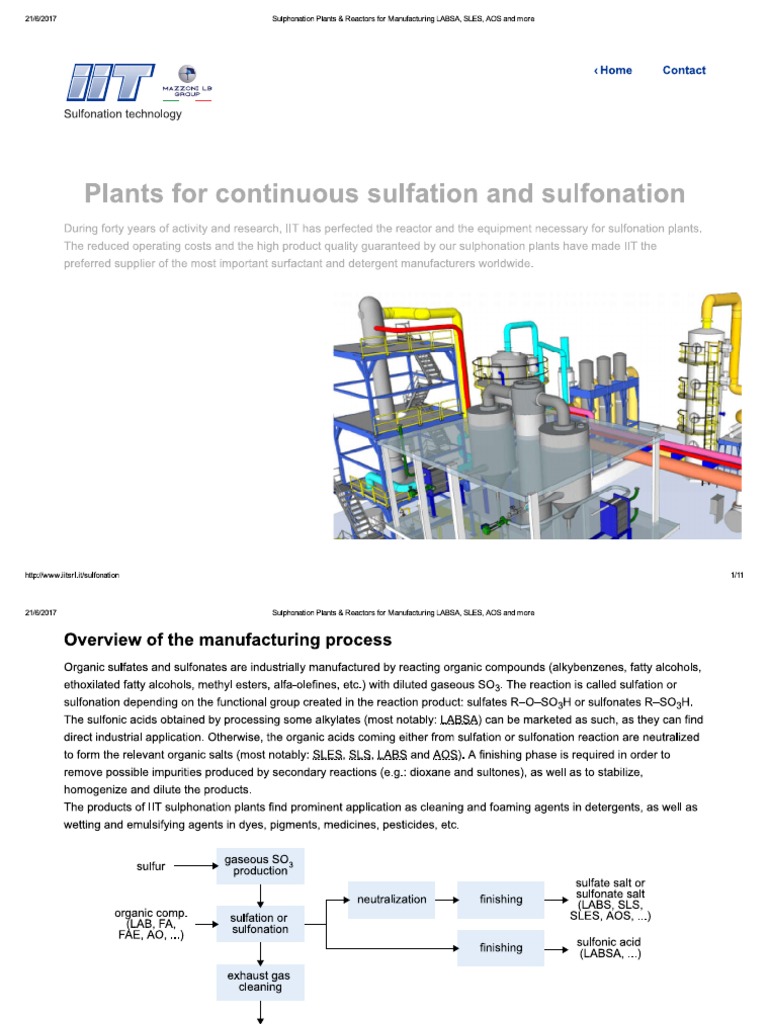 Sulphonation Plants & Reactors For Manufacturing LABSA, SLES, AOS and ...