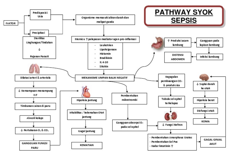 Pathway Syok Sepsis | PDF