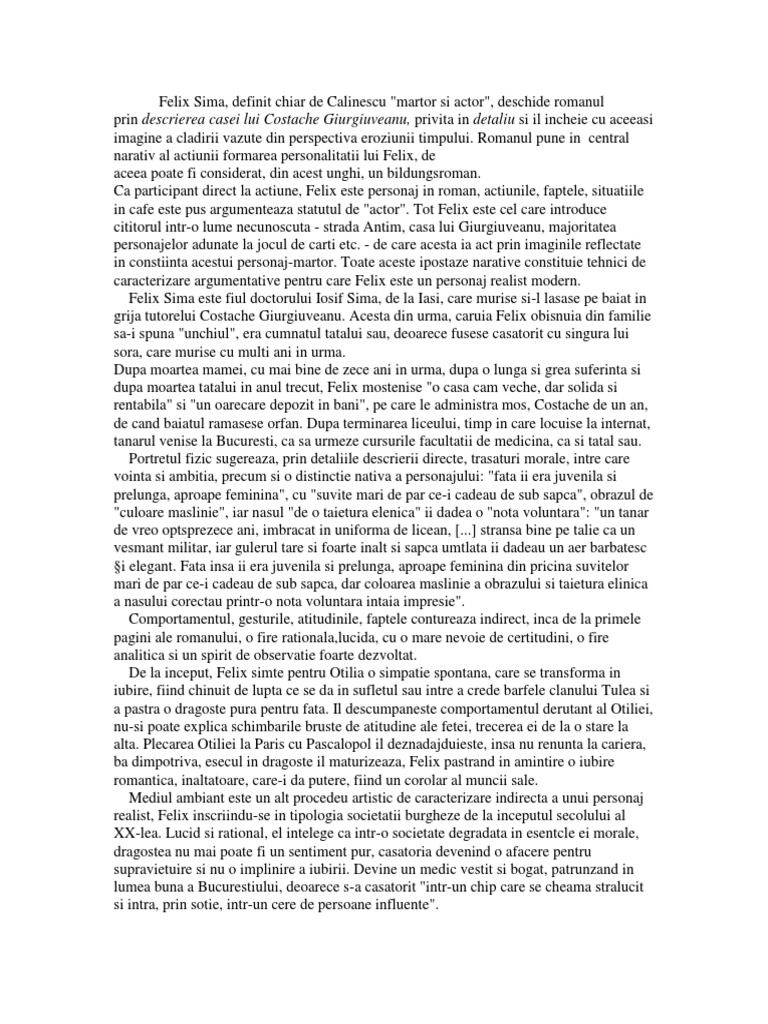 Felix Sima Caracterizare | PDF