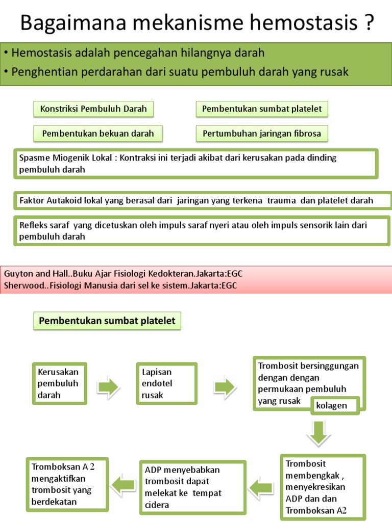Mekanisme Hemostasis dan Fibrinolisis | PDF