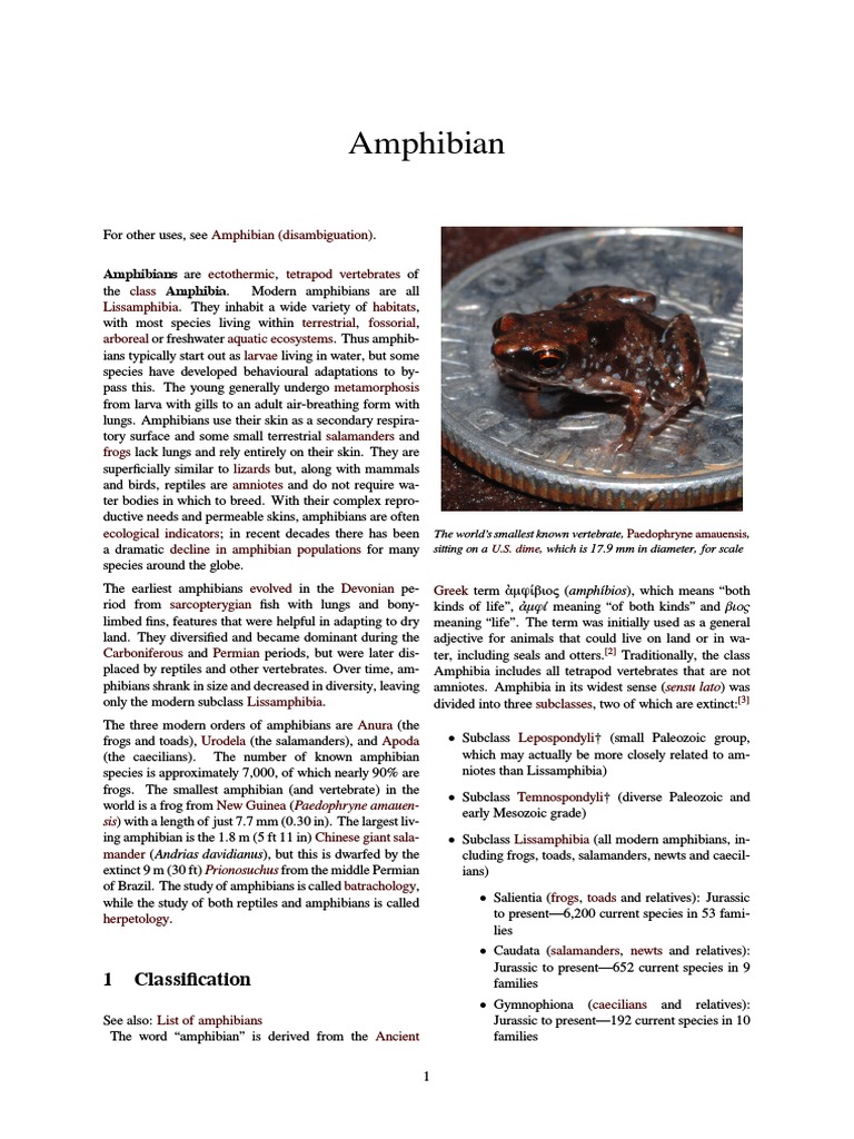 Amphibian | PDF | Amphibian | Frog