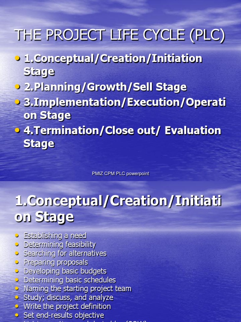 The Project Lifecycle | PDF | Evaluation | Computing