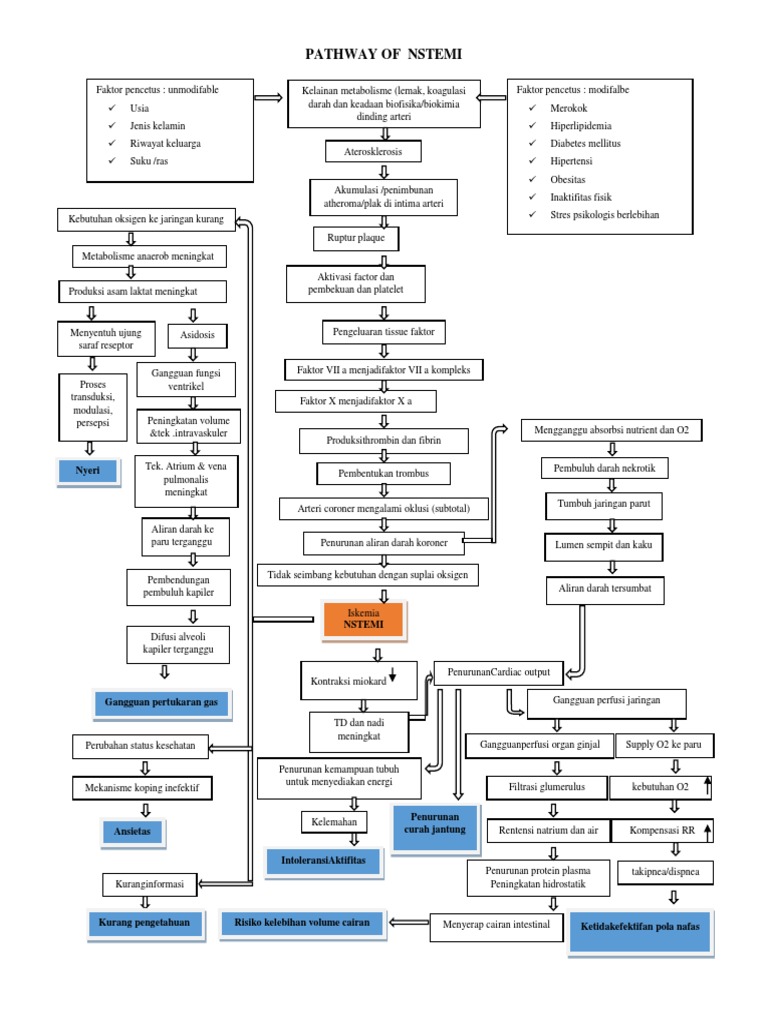 PATHWAY Nstemi-Fix | PDF