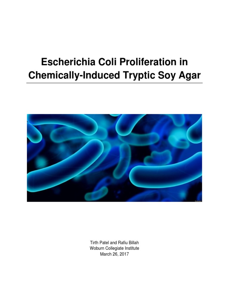 E. Coli-JM101 Report | PDF | Escherichia Coli | Bacteria