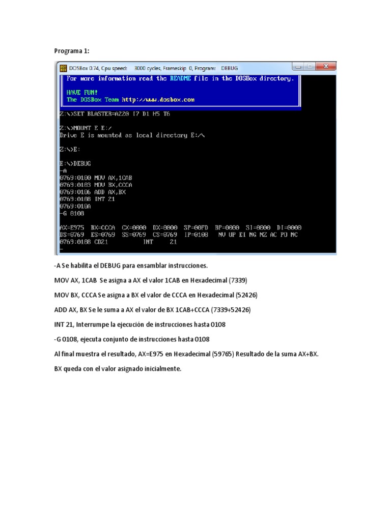 Programas Debug | PDF | Informática