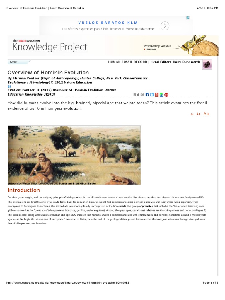 Overview of Hominin Evolution | PDF | Hominidae | Human Evolution