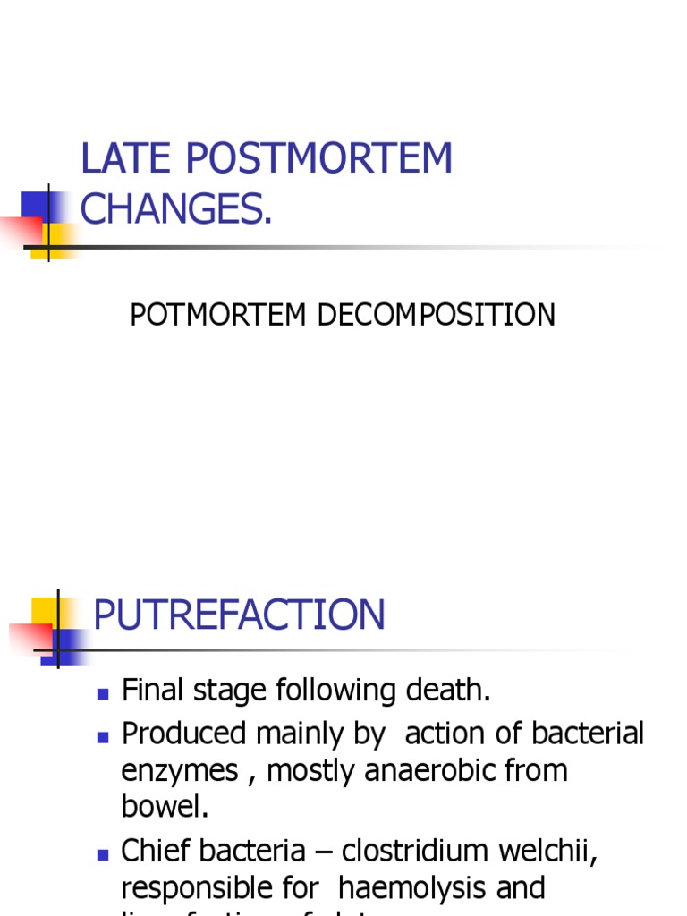 5) Late Postmortem Changes | Decomposition | Bacteria