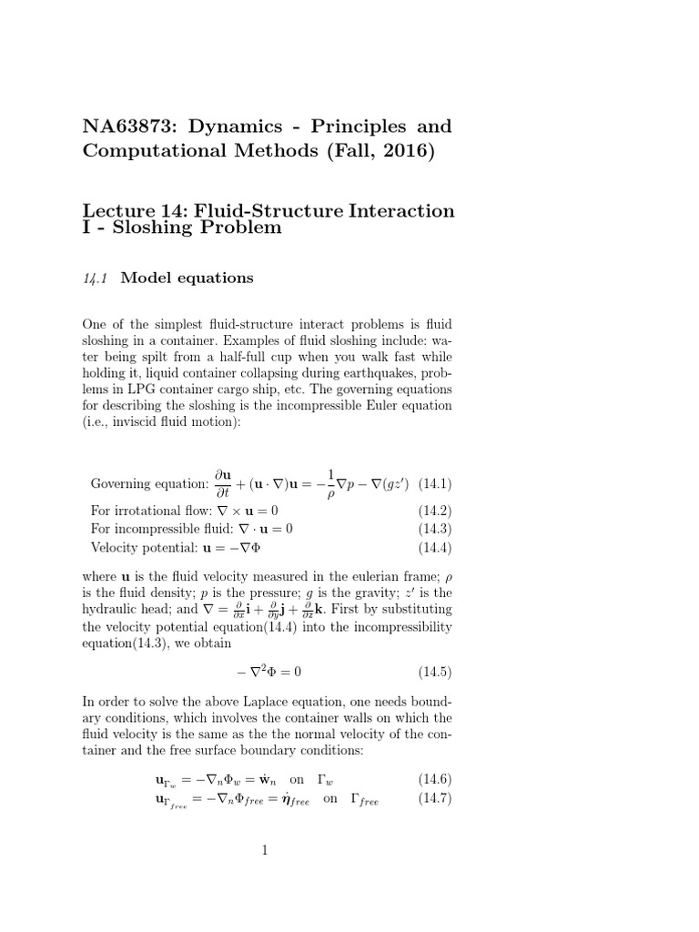 Sloshing Computacional | PDF | Calculus Of Variations | Fluid Dynamics