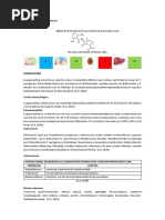 Familias de Antibioticos | PDF | Penicilina | Las bacterias