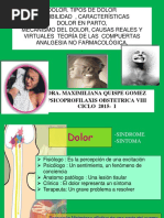 Triptico de Psicoprofilaxis Obstétrica - Vivian Arcos Avila | PDF | Parto | El embarazo