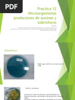 Agente Caotrópico | PDF | Ciencia y matemáticas