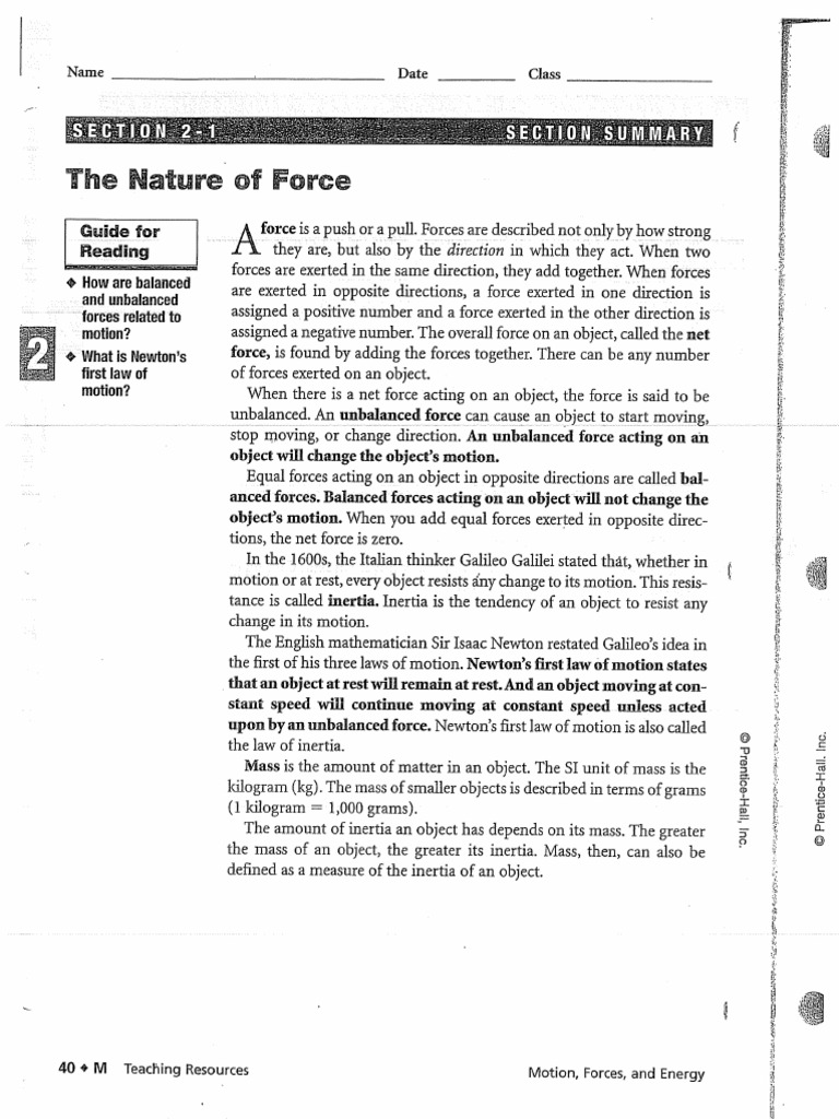 The Nature of Force Worksheet PDF | PDF