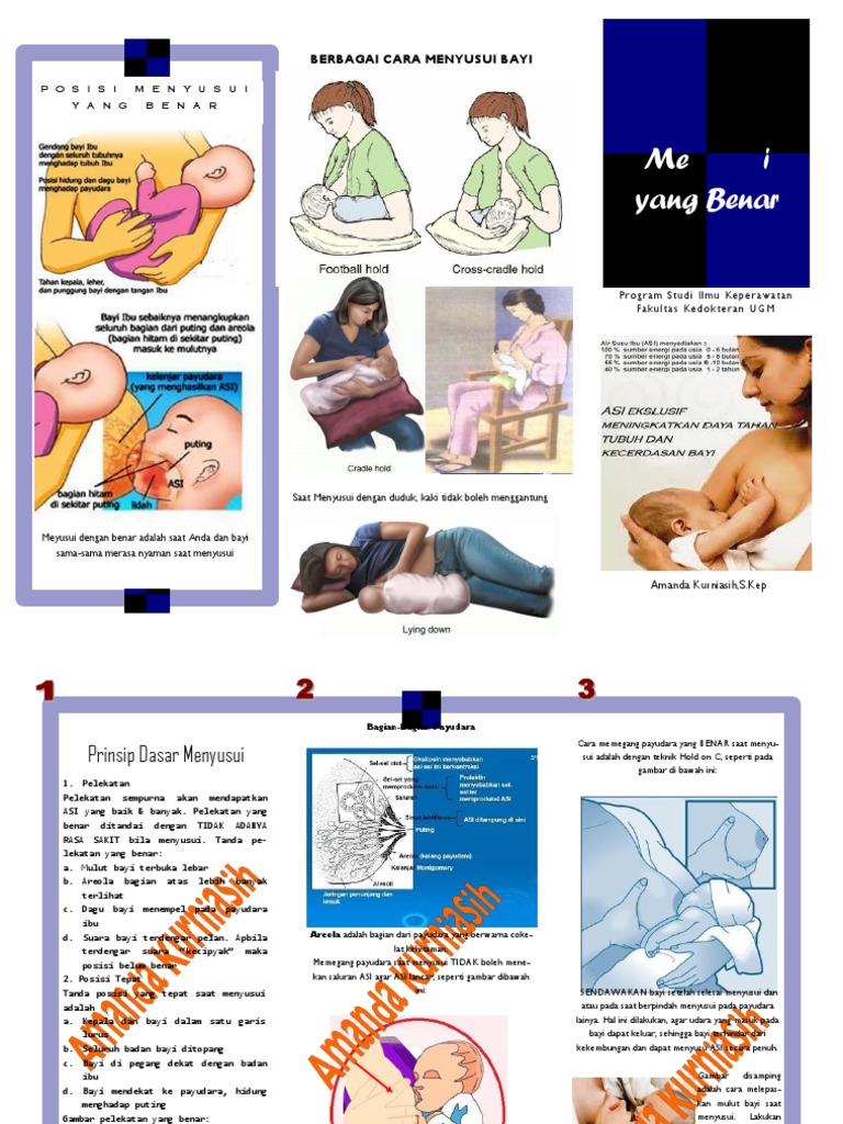 Leaflet Cara Menyusui Yang Benar | PDF