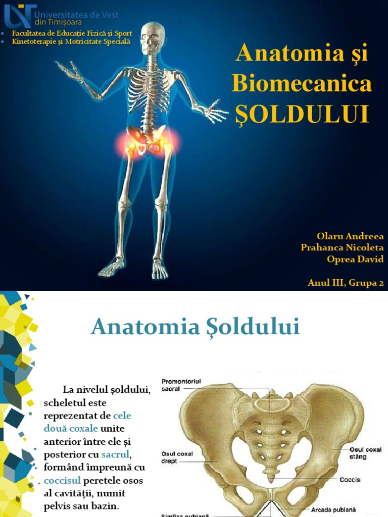 Anatomia Si Biomecanica SOLDULUI | PDF