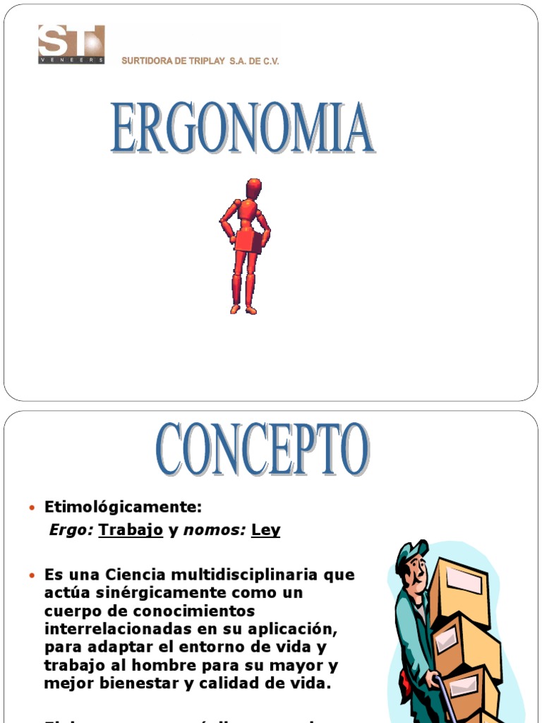 12 Pla Dic 082 | PDF