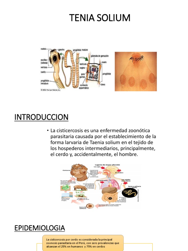 Cisticercosis y Teniasis por Taenia solium | PDF | Medicina CLINICA ...