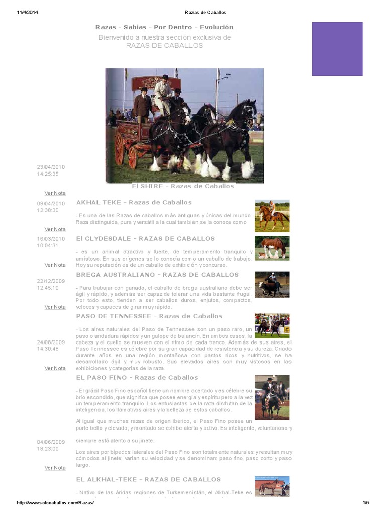 Razas de Caballos PDF | PDF | Entrenamiento de caballos | Caballos