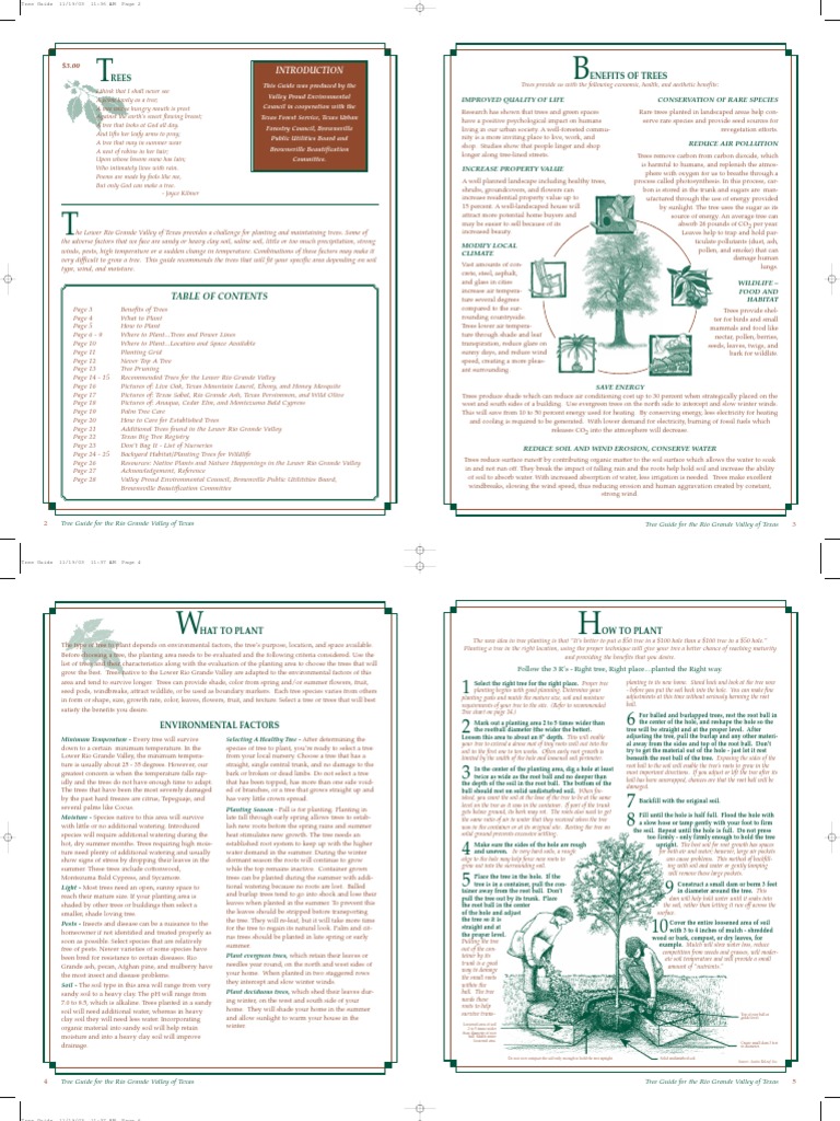 TreeGuide English | PDF | Trees | Root
