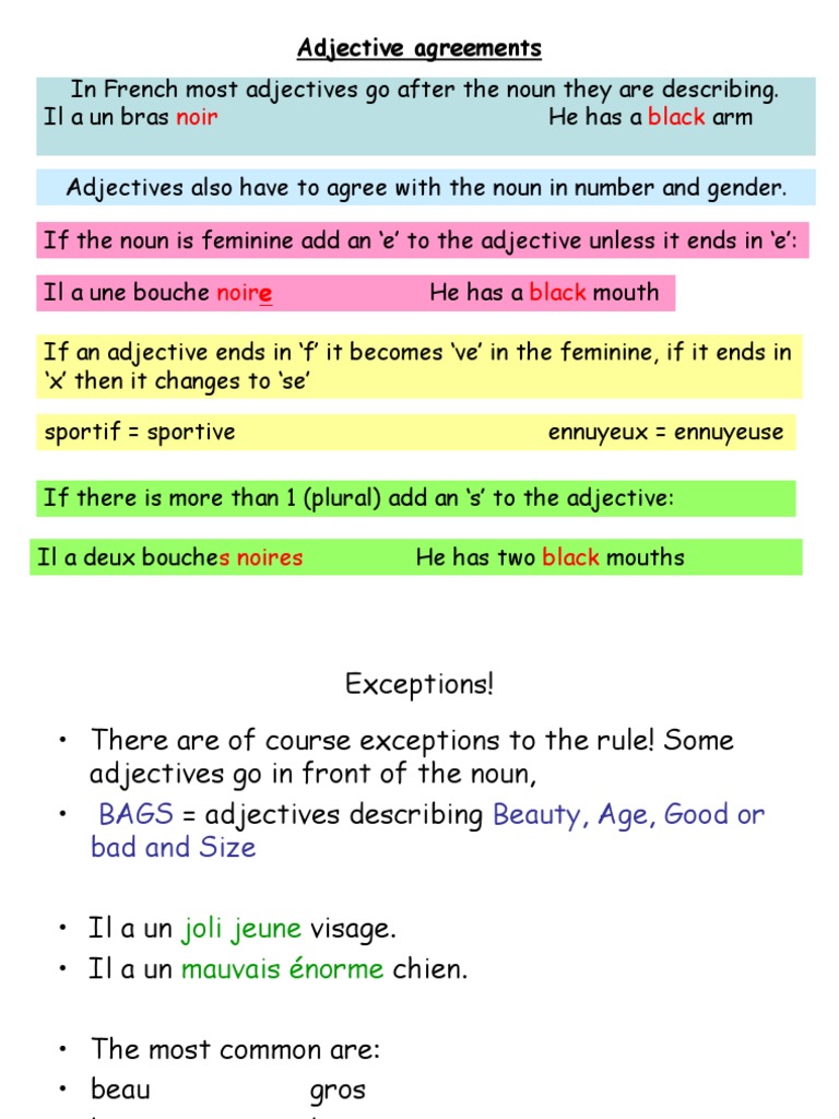 Adjective Agreements!! | PDF