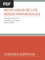 Rayos X de Senos Paranasales | PDF | Nariz humana | Radiología