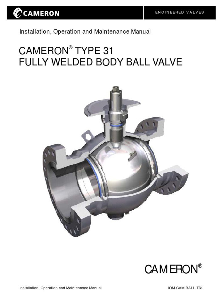 Cameron t31 Iom special | Válvula | Lubricante