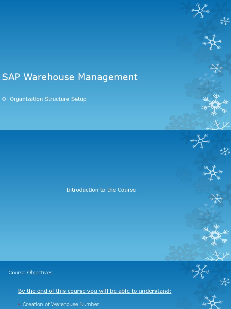 SAP WM Organization Structure Overview | PDF | Warehouse | Logistics