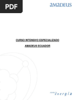 Crear Un PNR en Amadeus | PDF