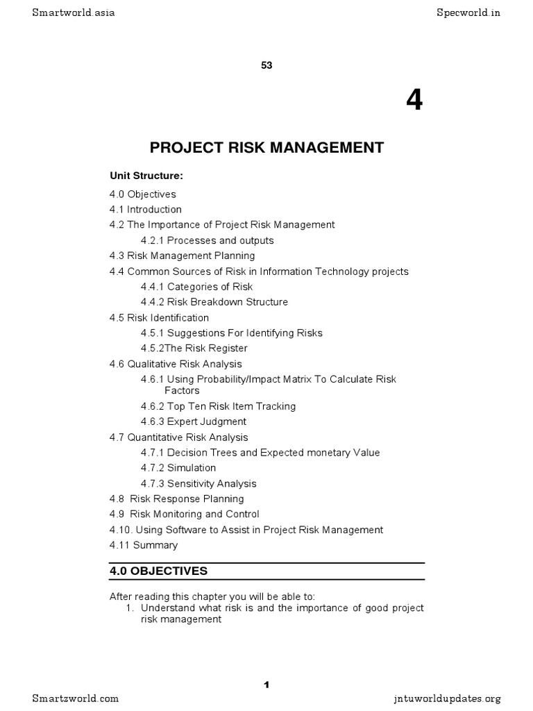 IT Project Risk Management Guide | PDF | Risk Management | Risk