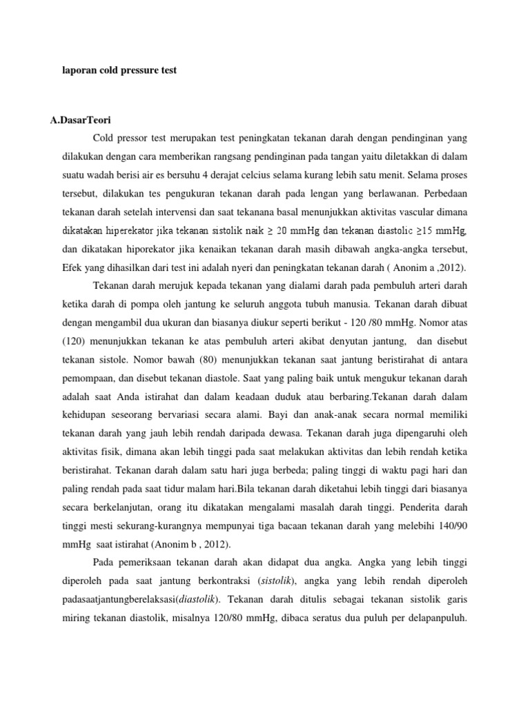 Laporan Cold Pressure Test | PDF
