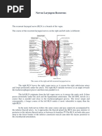 Imaging of The Ear - X Ray of The Temporal Bone, Schuller's Projection ...