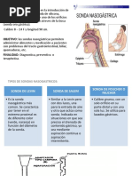 Posición de Roser o Proetz | PDF | Inflamación | Biología Celular)