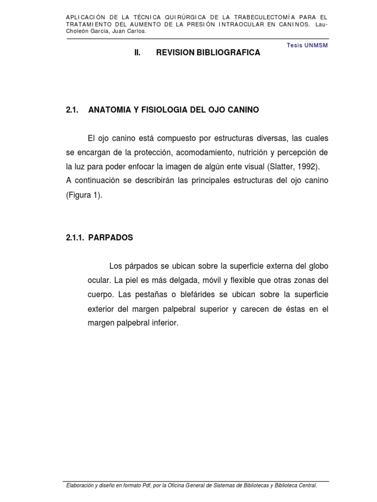 Anatomía del Ojo Canino y Tratamiento | PDF | Glaucoma | Ojo humano