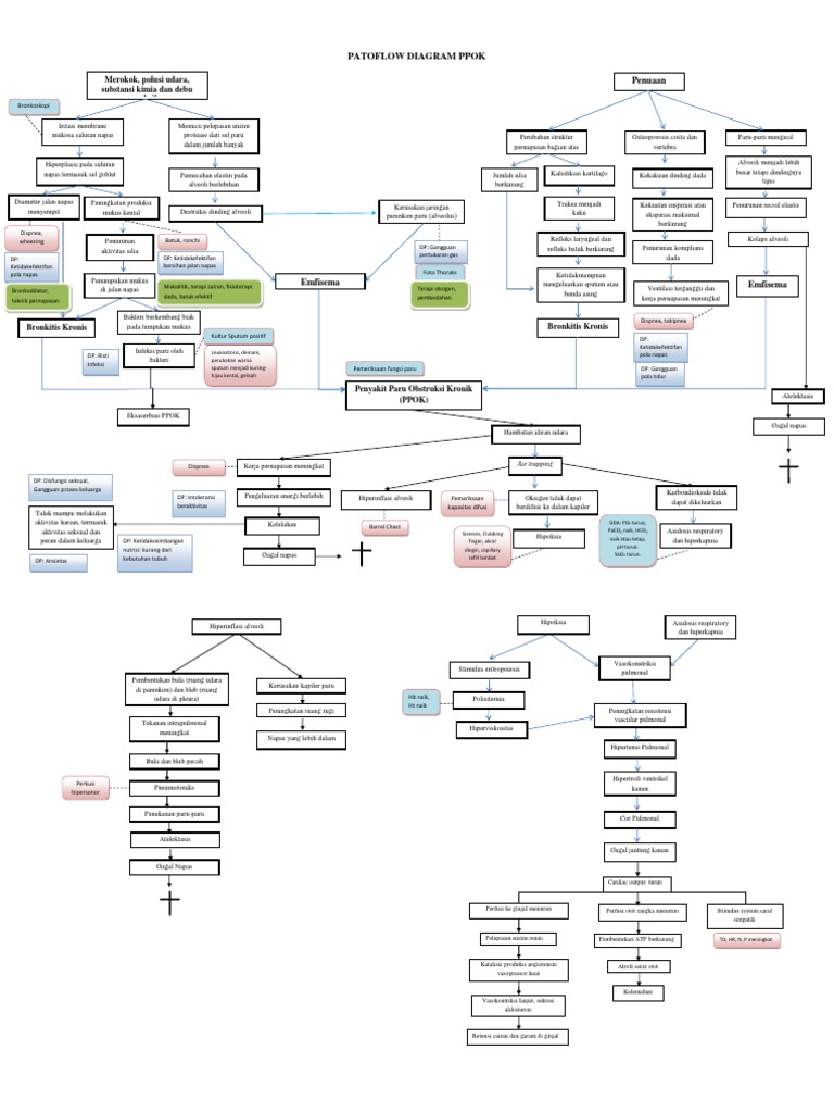 Patoflow Diagram Ppok 2 | PDF