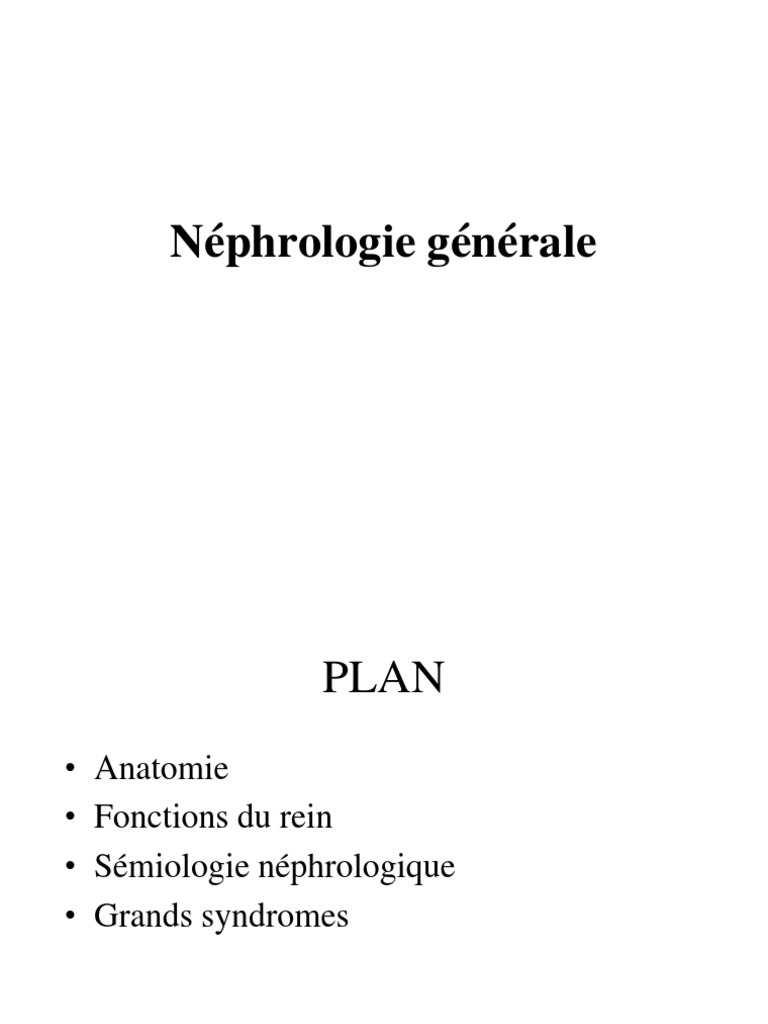Uro 1 Semio Nephro | PDF | Rein | Urine