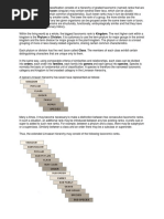 Noun Basics: Verb Particle | PDF | Grammatical Number | Grammatical Gender