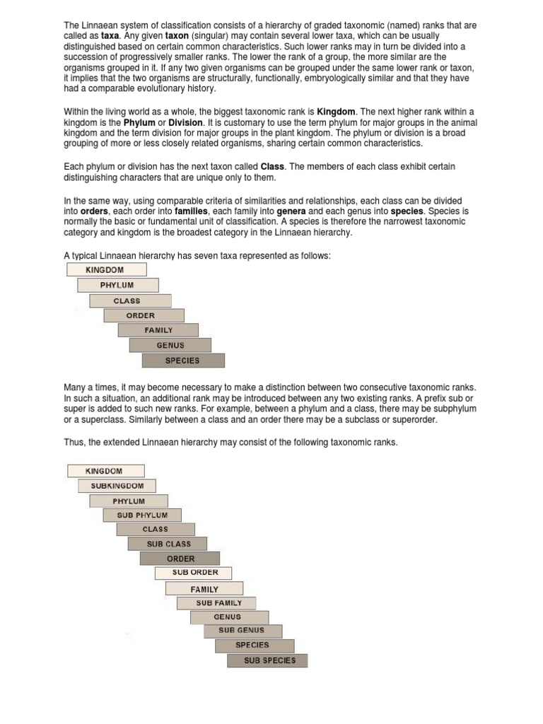 The Linnaean System of Classification Consists of A Hierarchy of ...