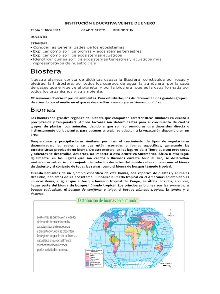 Iv Biomas | PDF | Ecosistema | Selva