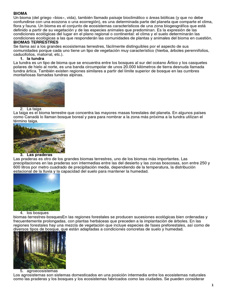 Tipos de Biomas | PDF | Selva | Ecosistema