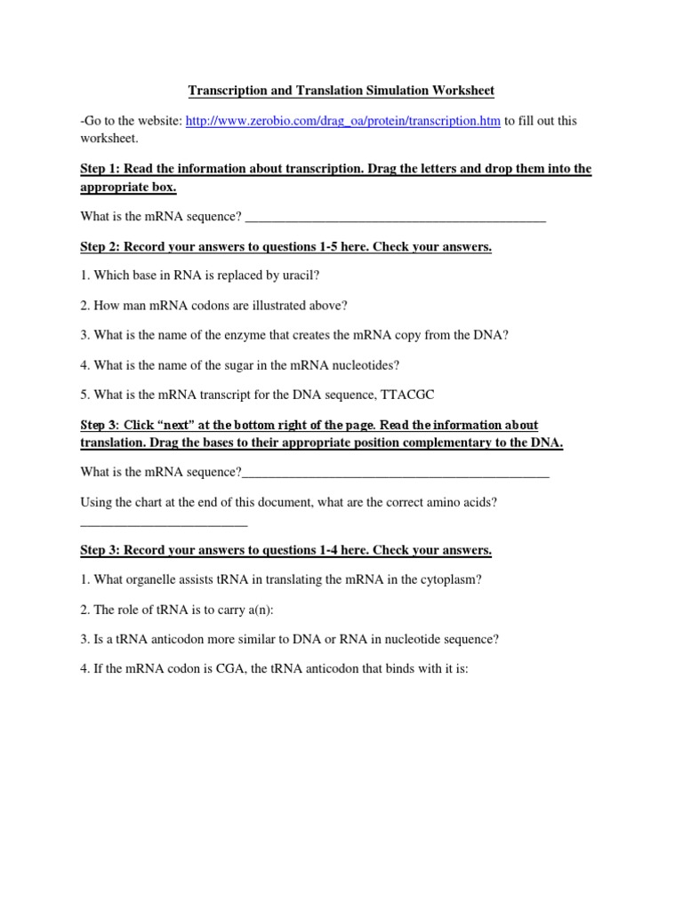 Transcription and Translation Worksheet | PDF | Translation (Biology ...